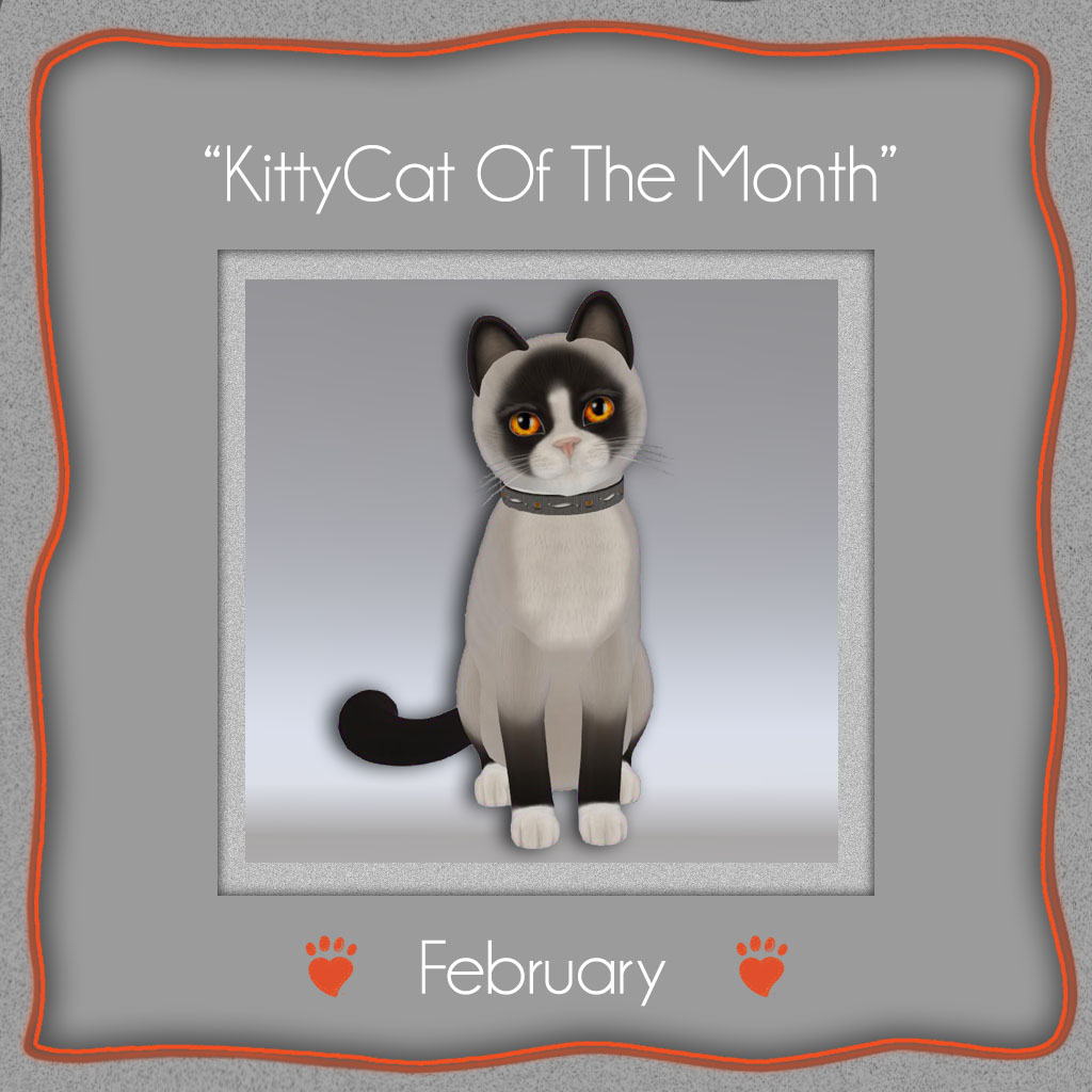 KittyCat of the Month – February 2015 – KittyCatS! News