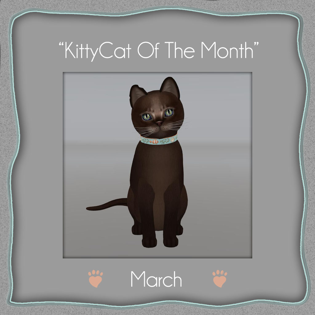 KittyCat of the Month – March 2015 – KittyCatS! News