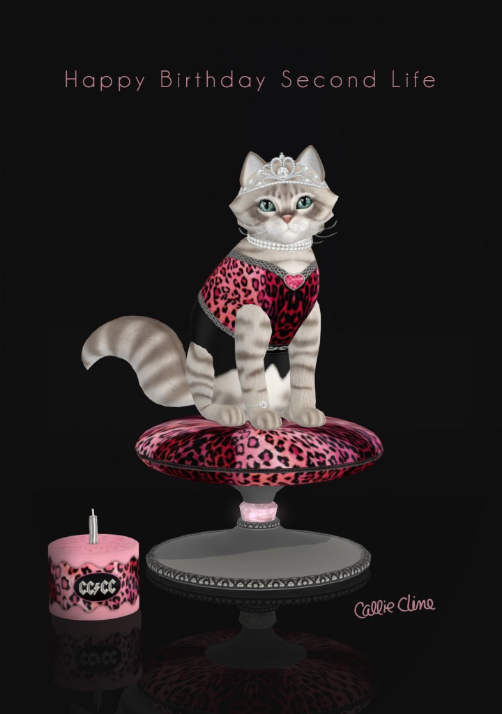 KittyCatS! News
