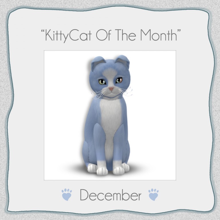 KittyCatS! News