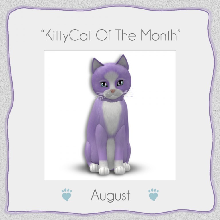 KittyCatS! News