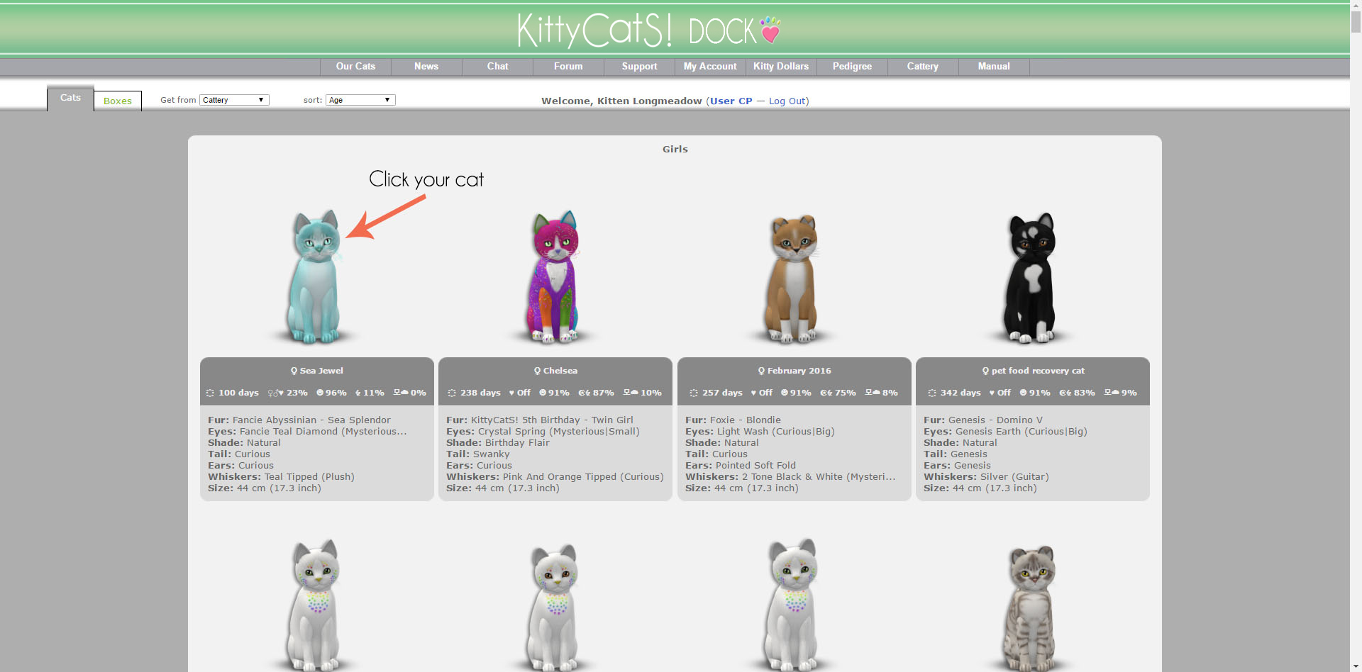 KittyCatS Online Cattery