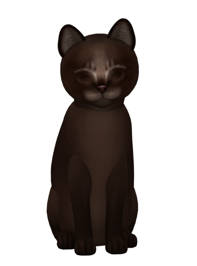 KittyCatS! Breeds