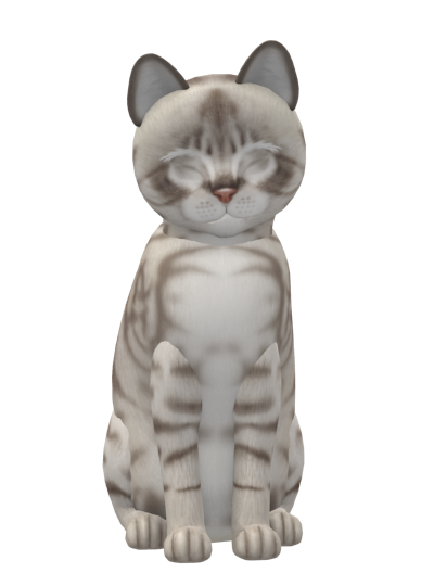 KittyCatS! Breeds