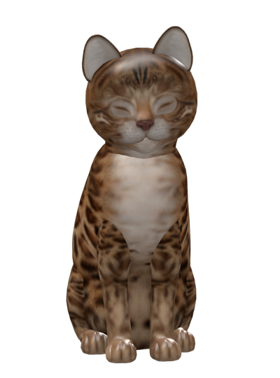 KittyCatS! Breeds