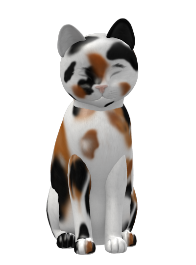 KittyCatS! Breeds