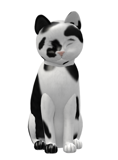 KittyCatS! Breeds