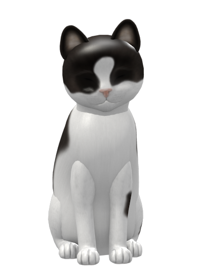 KittyCatS! Breeds
