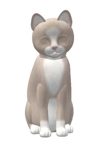KittyCatS! Breeds