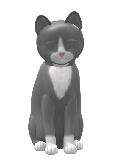KittyCatS! Breeds