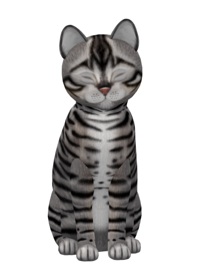 KittyCatS! Breeds